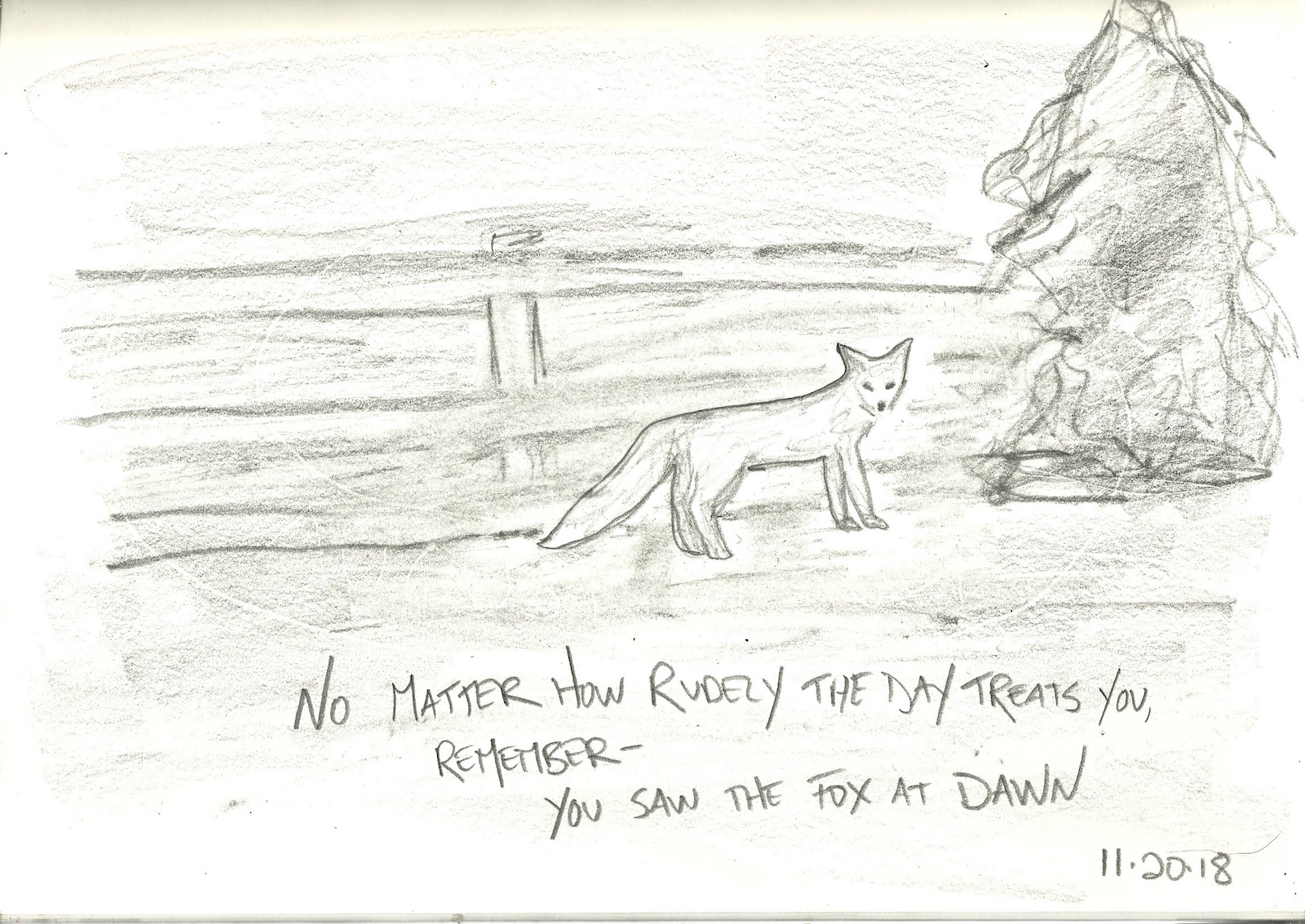 11.26.21 A Full Plate | The Fox at Dawn